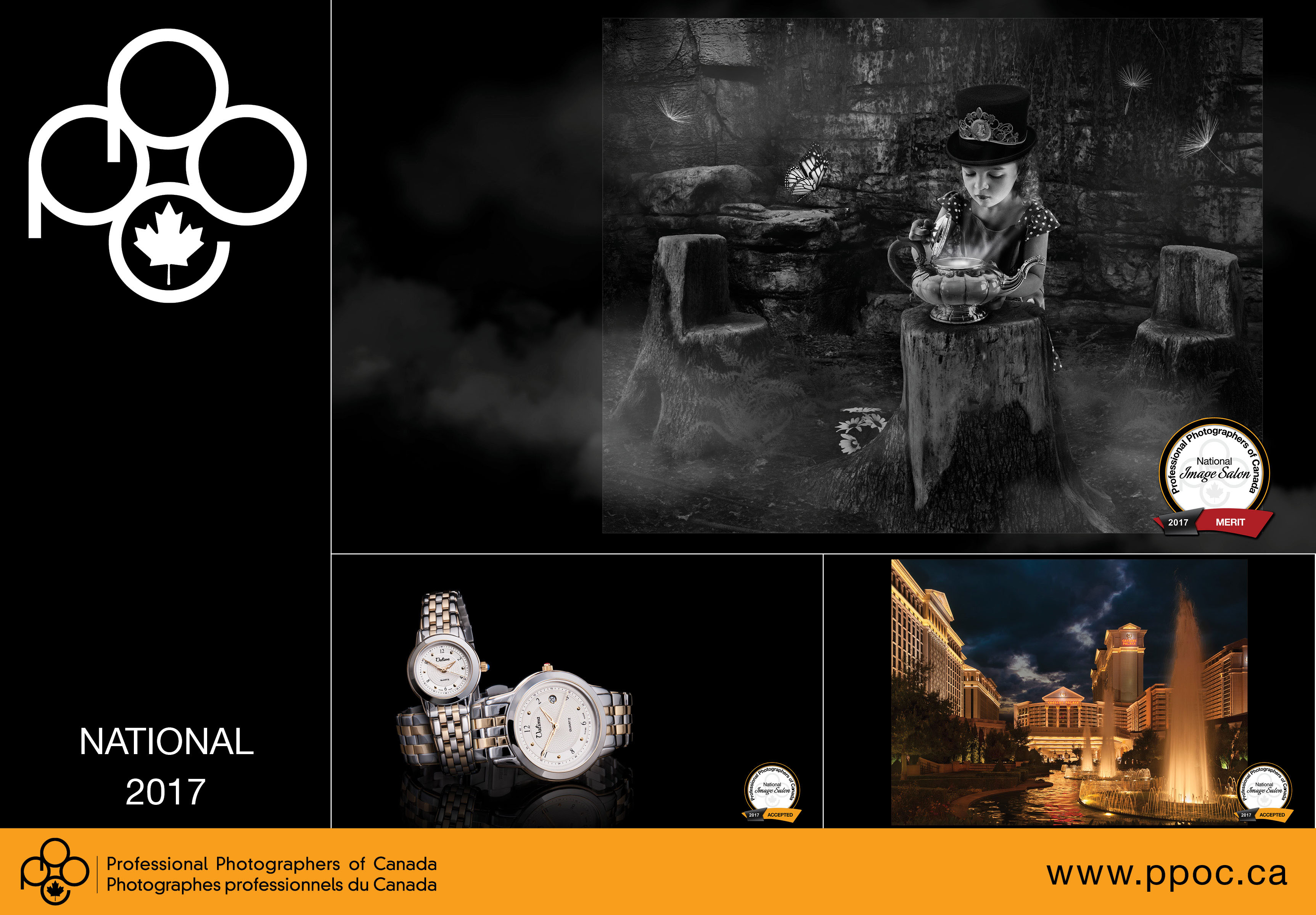 PPOC National Competition – 2017 – Dimension FX Media